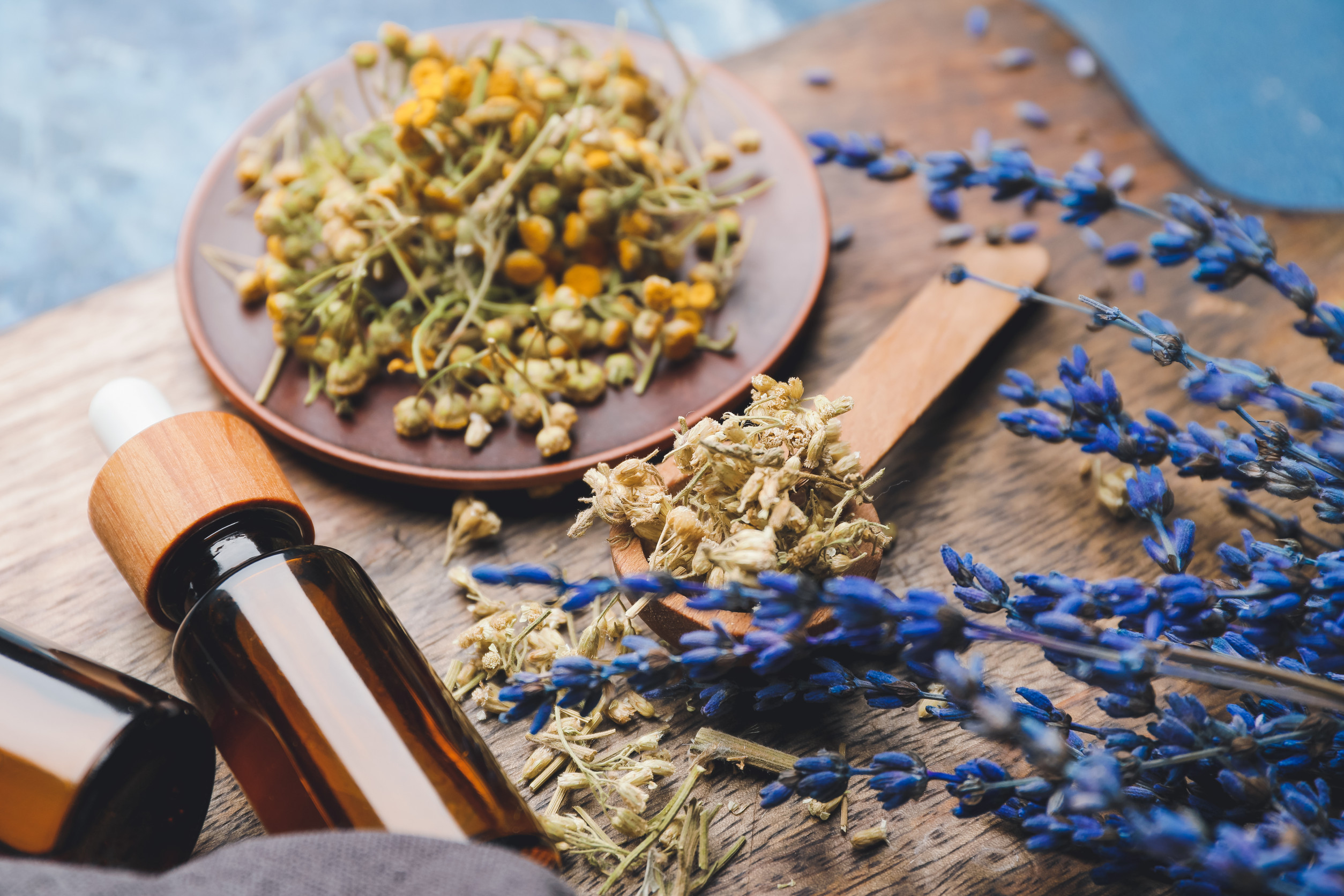 What Are Botanical Extracts? - Gillco Ingredients