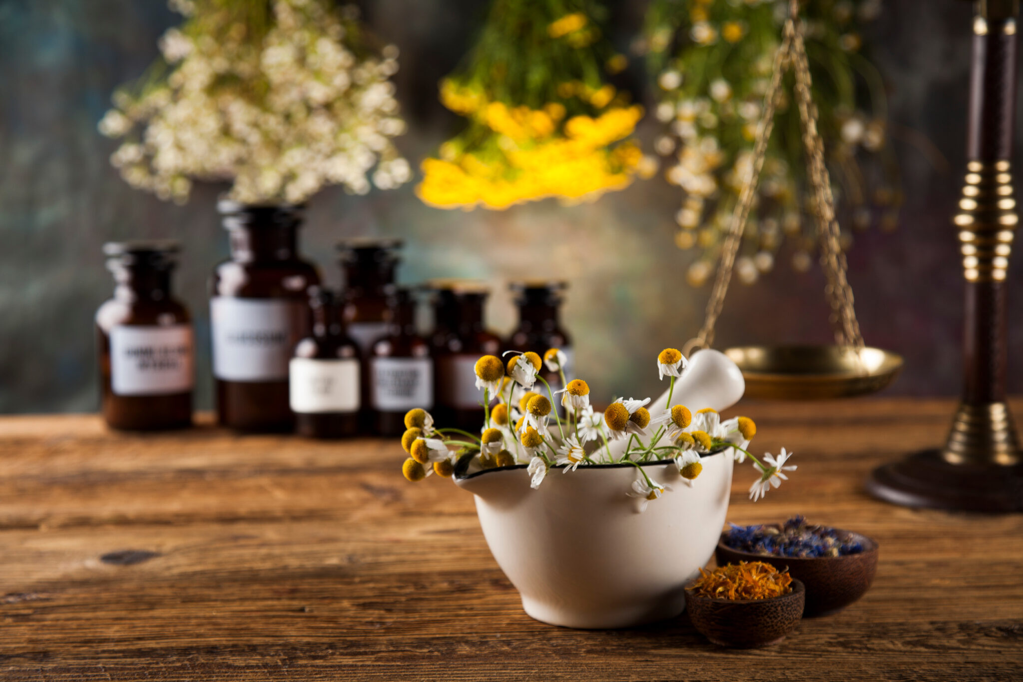 What Are Botanical Extracts? - Gillco Ingredients, an Azelis Company